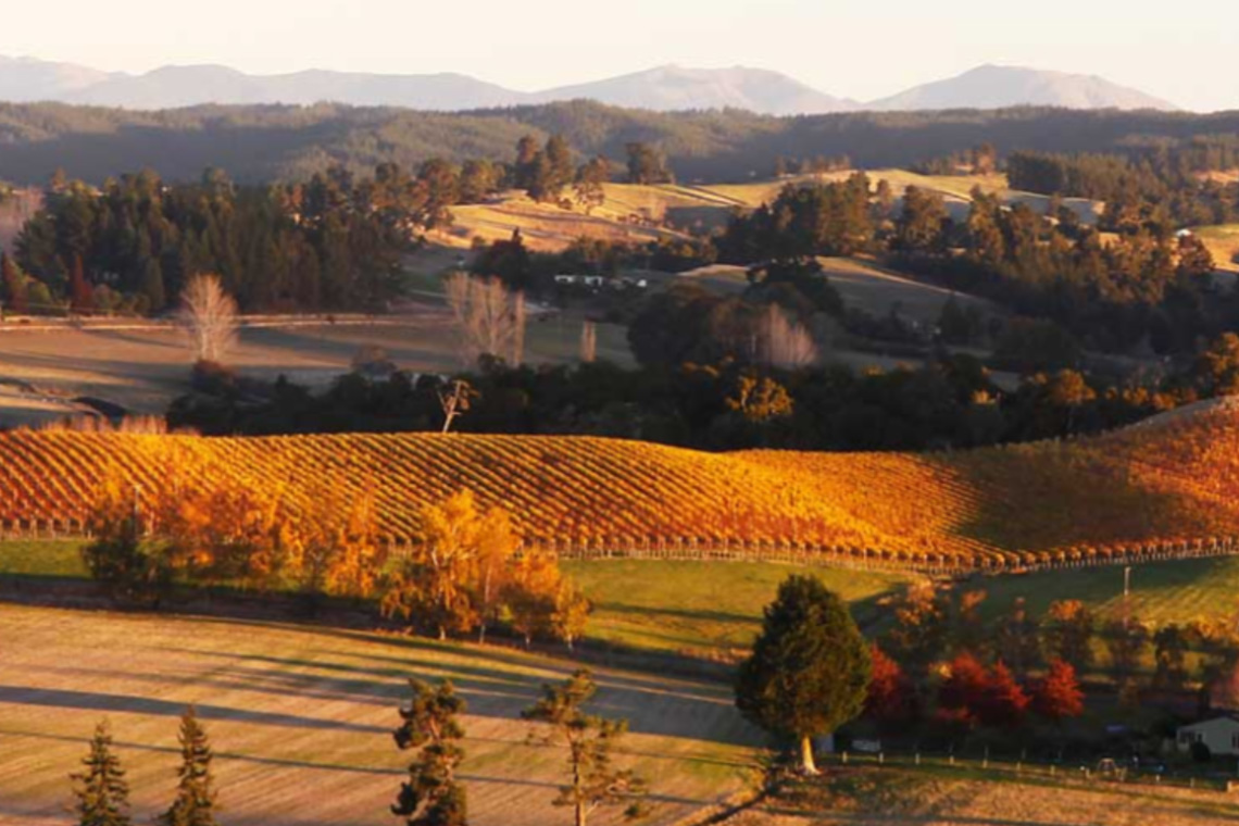 Moutere - Nelson Shuttles